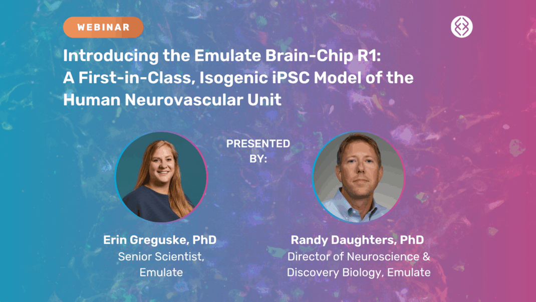 Introducing the Emulate Brain-Chip R1: A First-in-Class, Isogenic iPSC ...