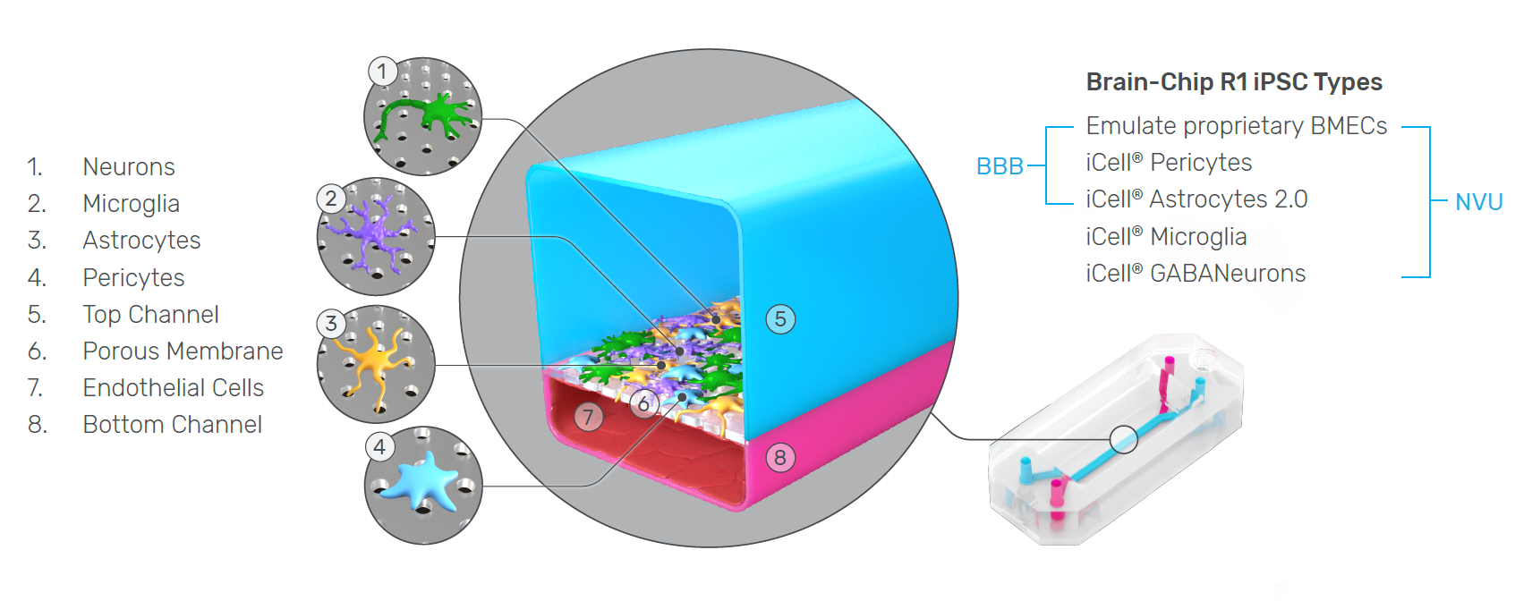 Emulate human Brain-Chip