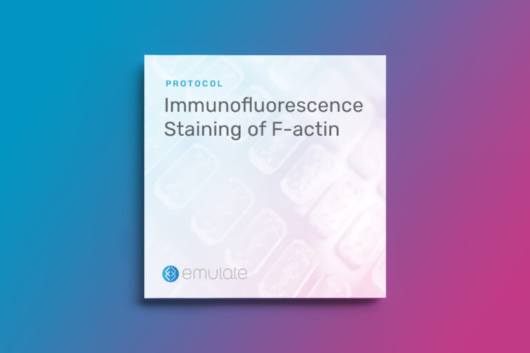 Immunofluorescence Staining of F-actin | Emulate