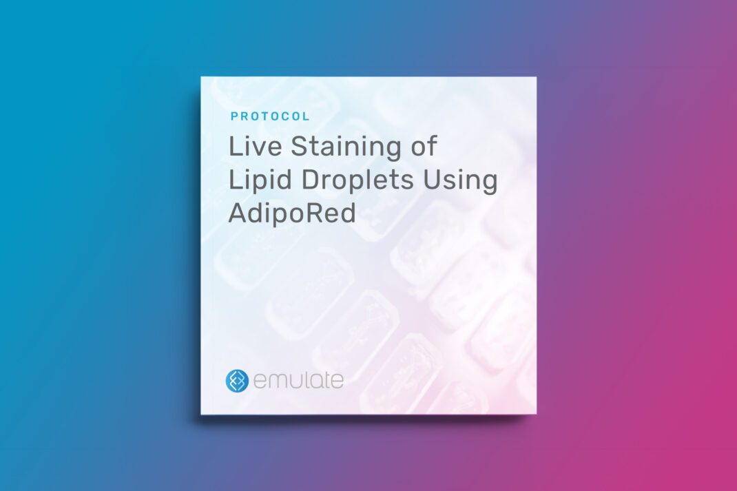 Live Staining of Lipid Droplets Using AdipoRed | Emulate