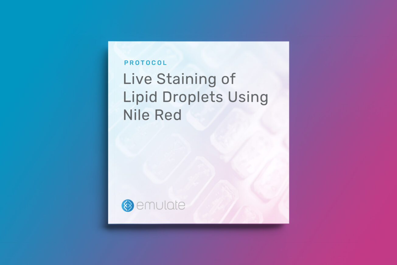 Live Staining of Lipid Droplets Using Nile Red | Emulate