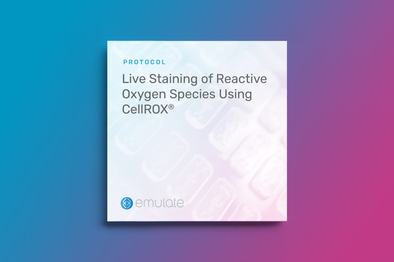 Live Staining of Reactive Oxygen Species Using CellROX® | Emulate