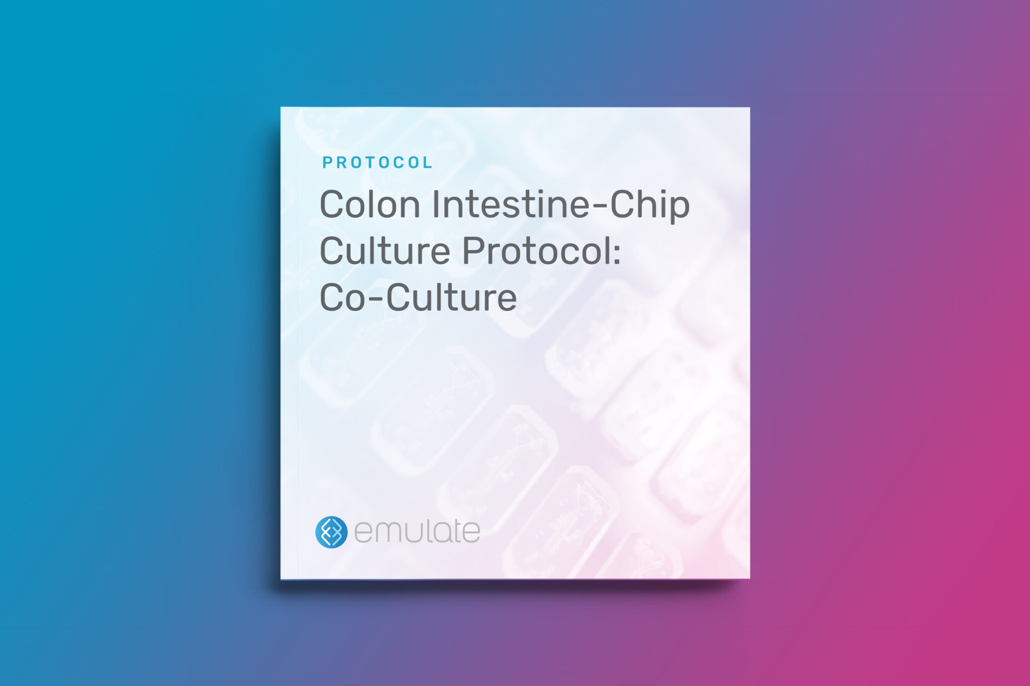 Colon Intestine-Chip Culture Protocol: Co-Culture | Emulate