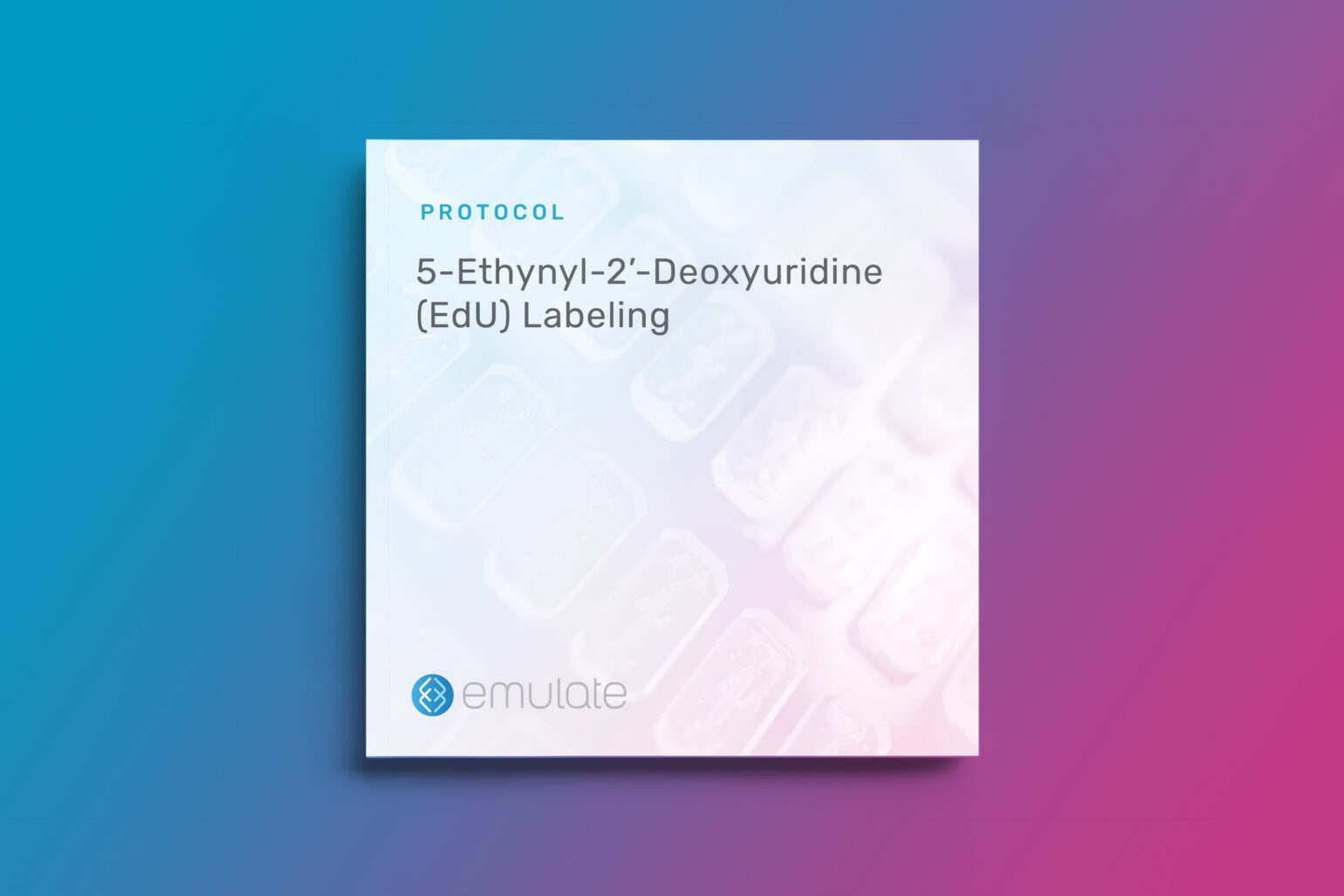 5-Ethynyl-2’-Deoxyuridine (EdU) Labeling | Emulate