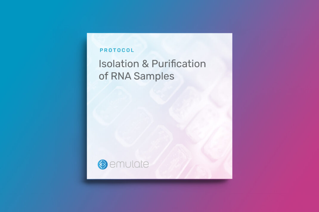 Isolation and Purification of RNA Samples | Emulate