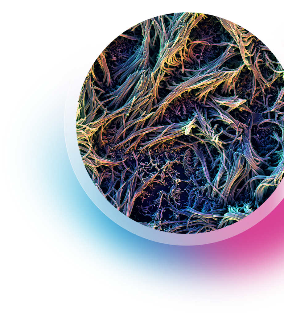 Organ-Chips for Drug Discovery & Development