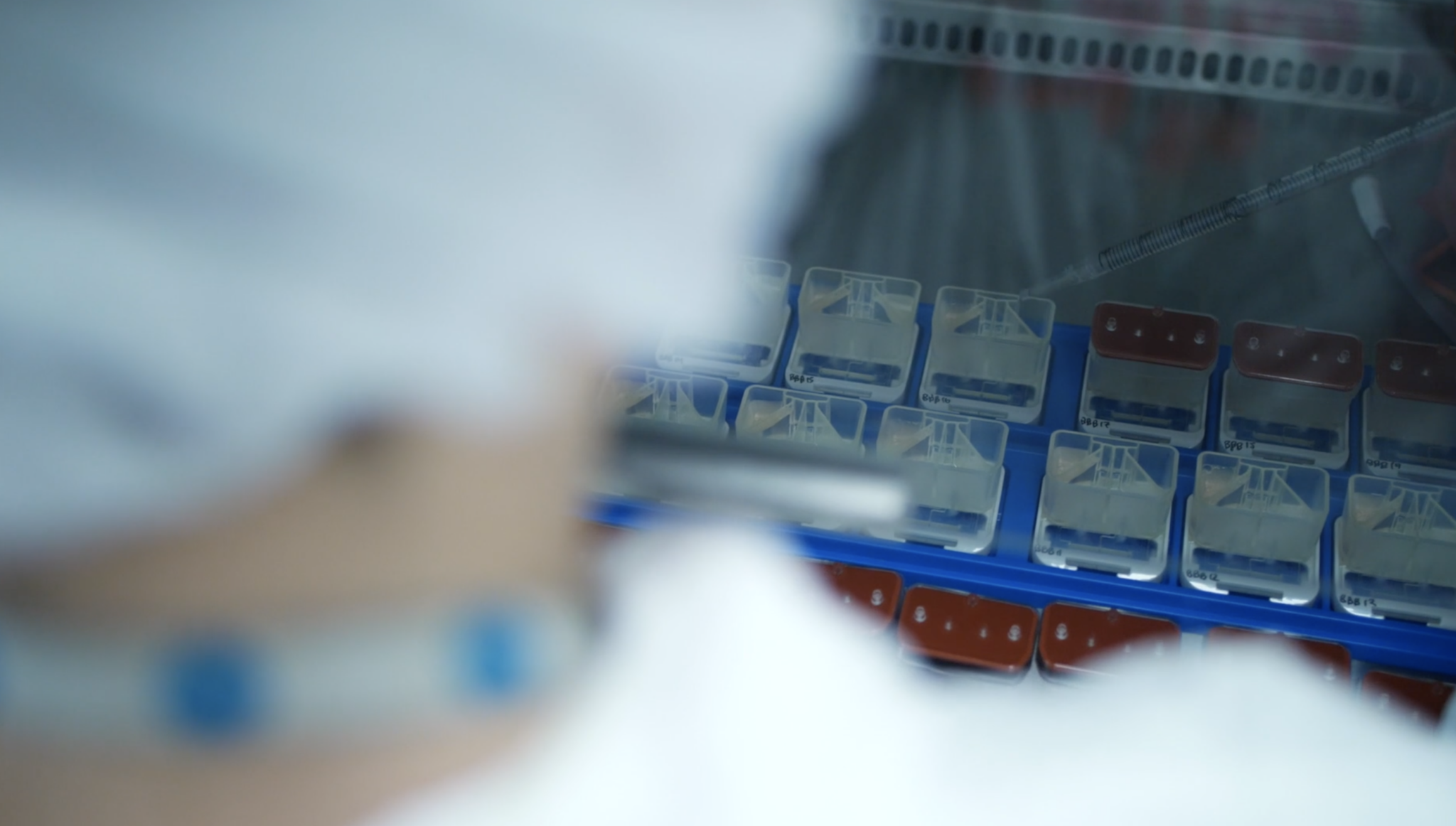 Organ-Chips for Inflammation Research | Emulate