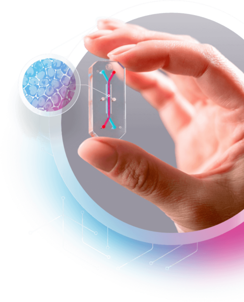 About Us | Global Leader in Organ-on-a-Chip Technology