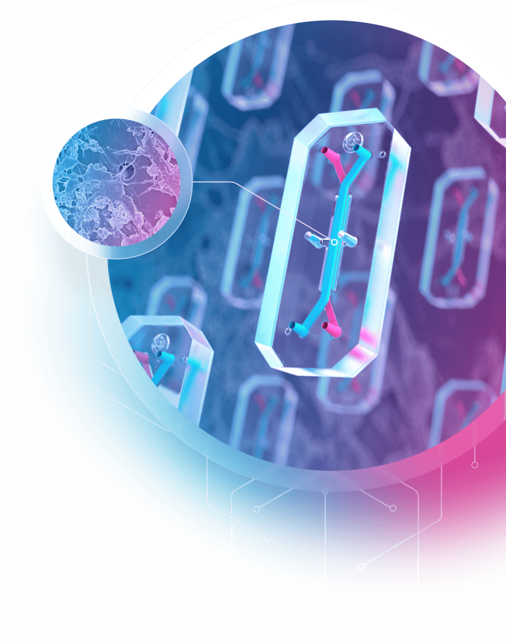 Emulate | Organ-on-a-Chip Technology for Drug Discovery & Development