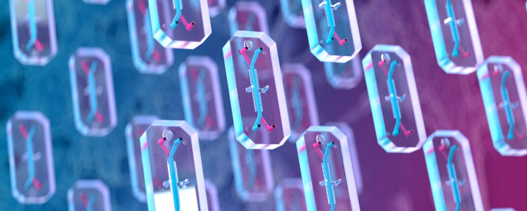 A Comparison of 2D vs 3D Cell Culture | Emulate Blog