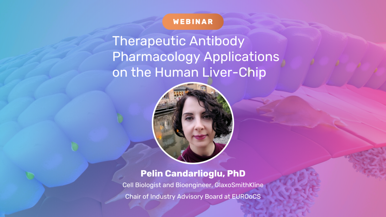 Therapeutic Antibody Pharmacology | Emulate Liver-Chip Webinar