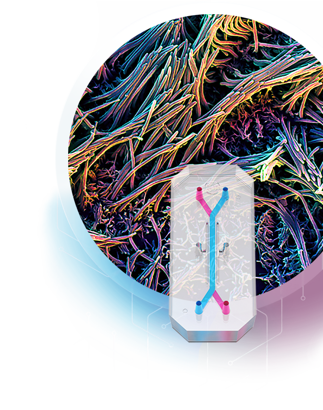 Emulate | Organ-Chips for Research & Development