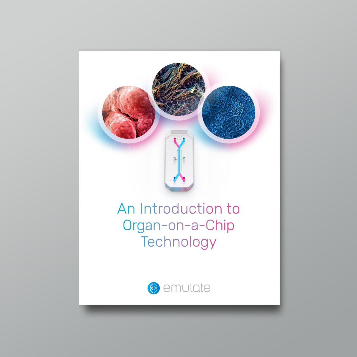 An Introduction to Organ-on-a-Chip Technology | Emulate