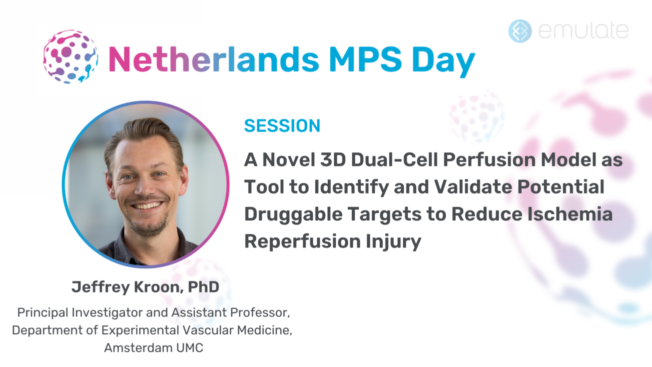 A Novel 3D Dual-Cell Perfusion Model as Tool to Identify and Validate ...