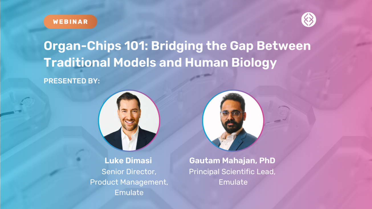 Organ-Chips 101: Bridging the Gap Between Traditional Models and Human ...