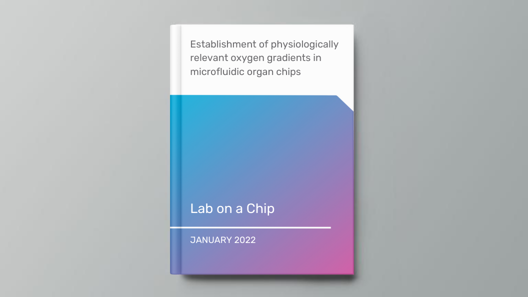 Establishment of physiologically relevant oxygen gradients in ...