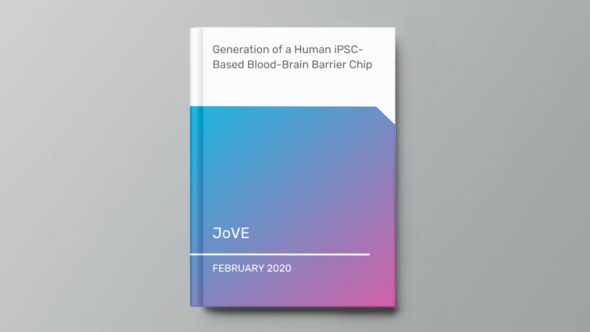 Generation of a Human iPSC-Based Blood-Brain Barrier Chip | Emulate