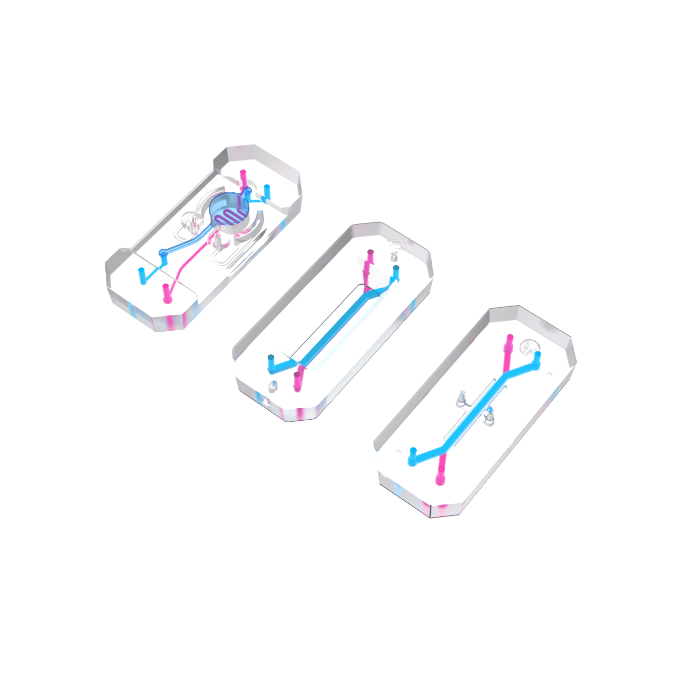 In Vitro Human Models Grow Up | Emulate