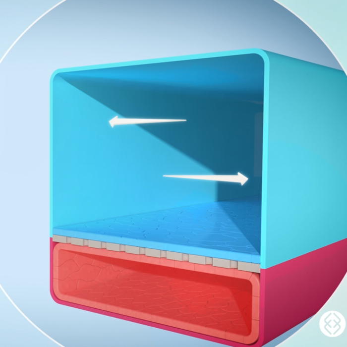 Emulate Chip-R1 Rigid Chip