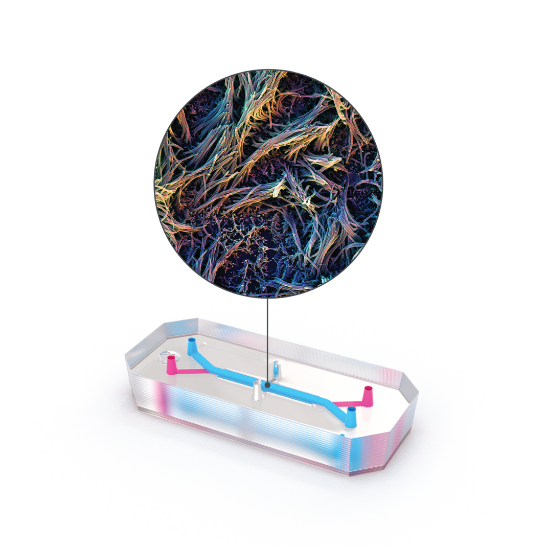 Emulate Chip-S1 Stretchable Chip