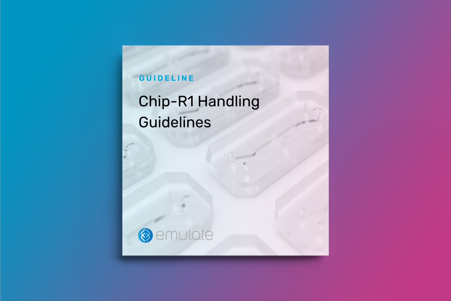 Chip-R1 Handling Guidelines | Emulate