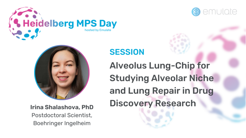 Alveolus Lung-Chip for Studying Alveolar Niche and Lung Repair in Drug ...