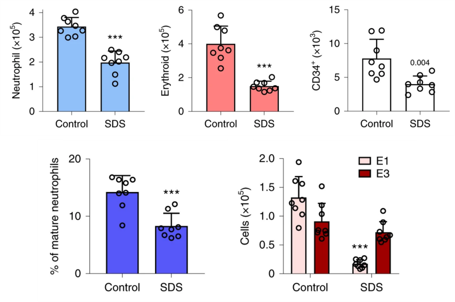 Emulate Bone Marrow-Chip
