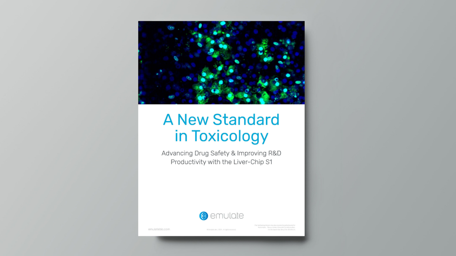 Liver Toxicology White Paper: Setting a New Standard in Drug Safety ...