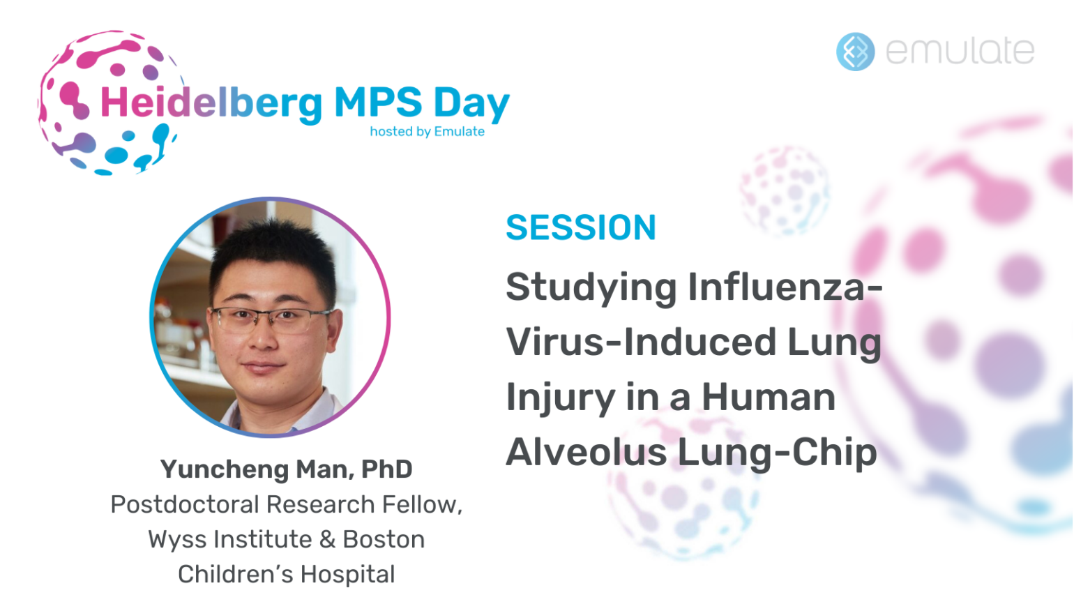 Studying Influenza-Virus-Induced Lung Injury in a Human Alveolus Lung ...