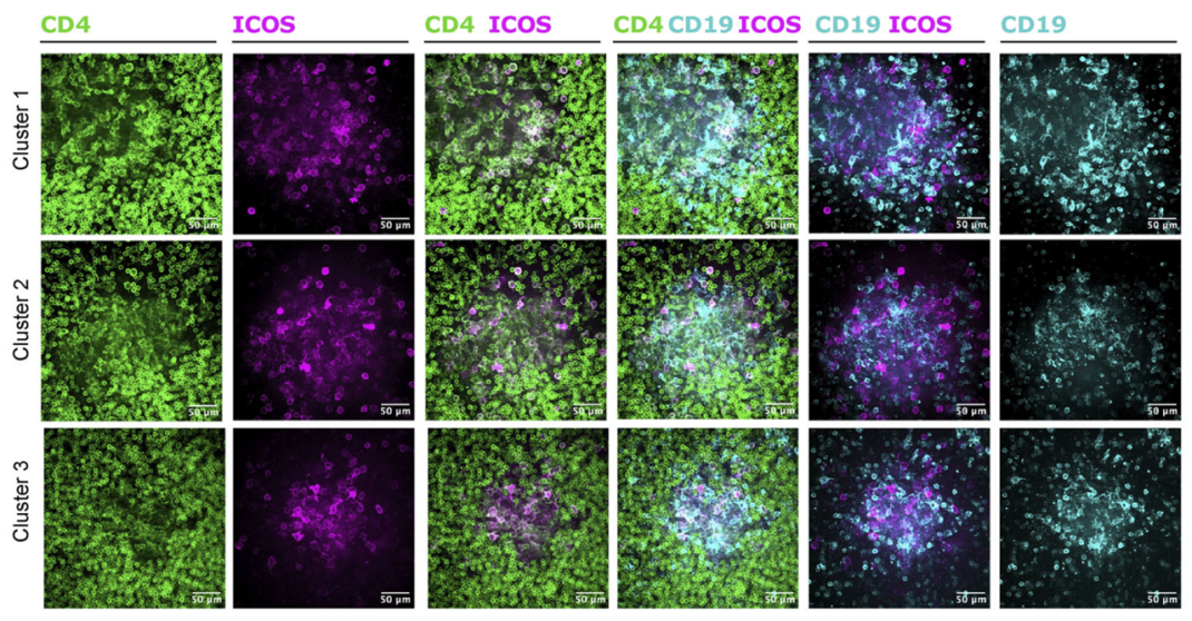 10 Organ-Chip Publications That Defined 2024 | Emulate
