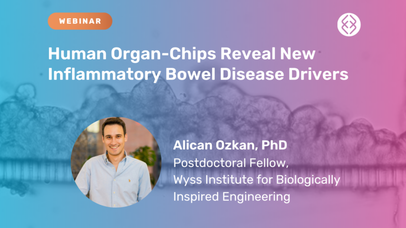 Human Organ-Chips Reveal New Inflammatory Bowel Disease Drivers | Emulate