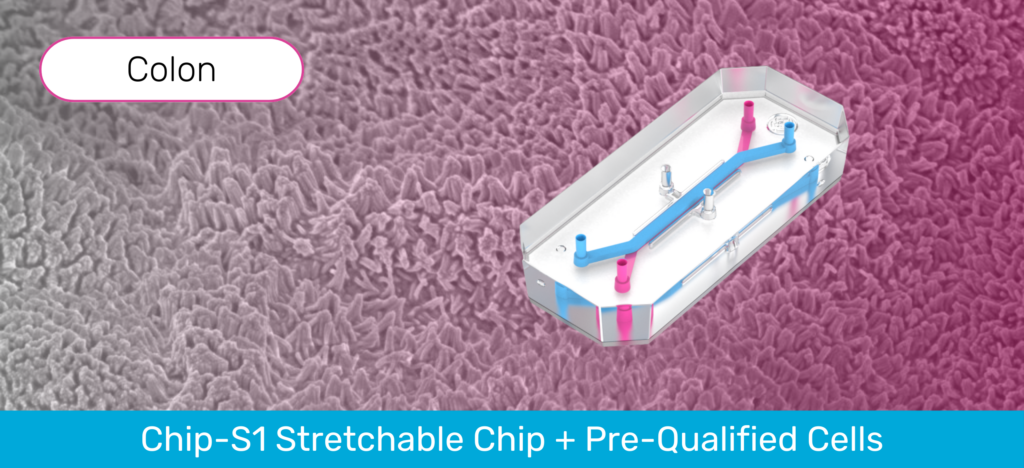 Emulate Organ-Chip Kits