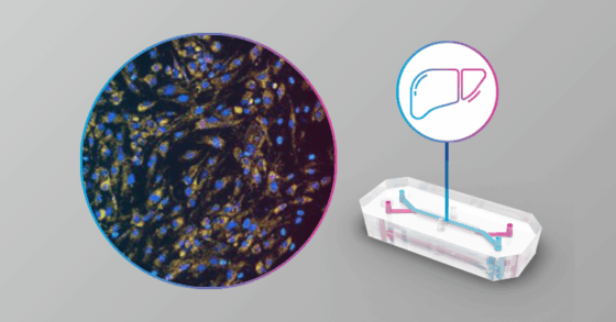 Organ-Chip Resources