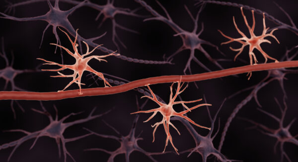 How Isogenic Organ-Chips Are Transforming the Future of Neuroscience ...
